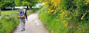 Best Films About The Camino De Santiago - Follow the Camino