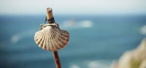 The Calls of the Camino - Ultreia! - Follow the Camino