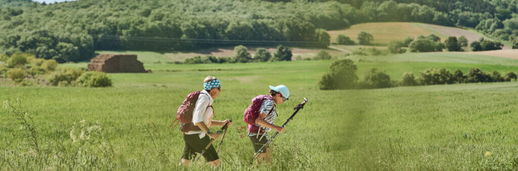The Way of St. James: A Journey Through History - Follow the Camino